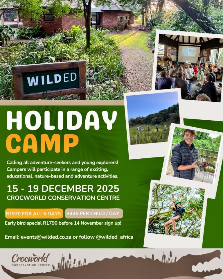 Wilded Holiday Camp - Happy Holidays